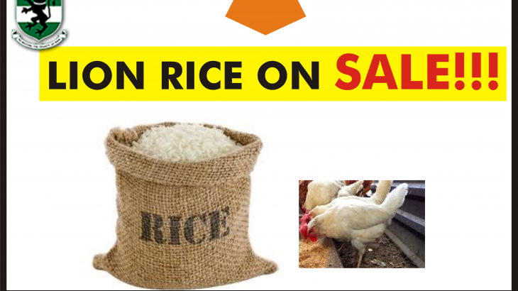 Lion Rice! Lion Rice!! Lion Rice!!! | University Of Nigeria Nsukka